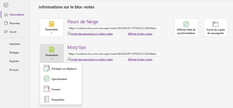 OneNote : Gérer l'enregistrement de vos notes - Misty'tips