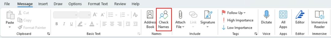 Outlook: Check names - Misty'tips